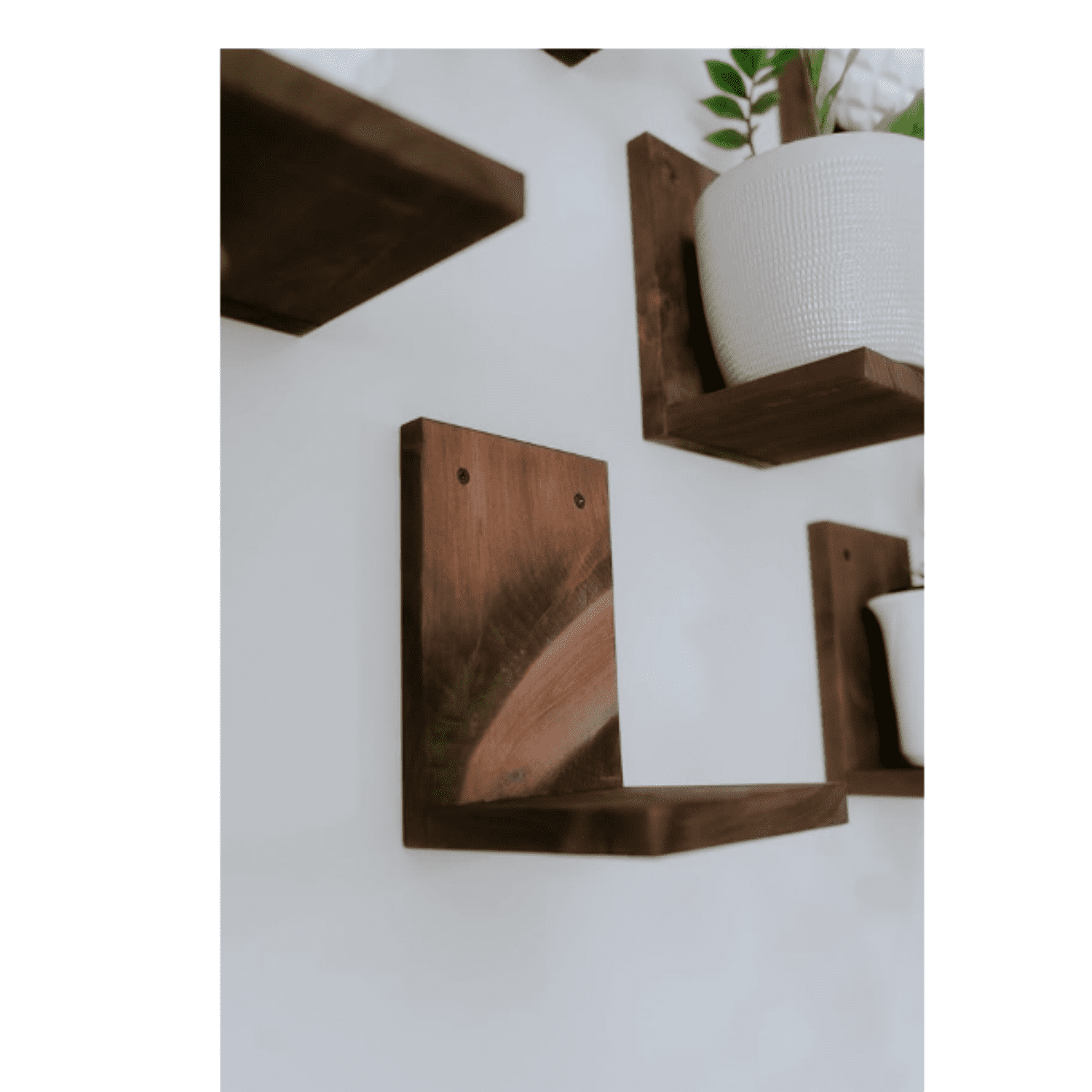 Plants Indoor Plant Wall Gallery Shelf Kit | Midcentury den Shelves ...
