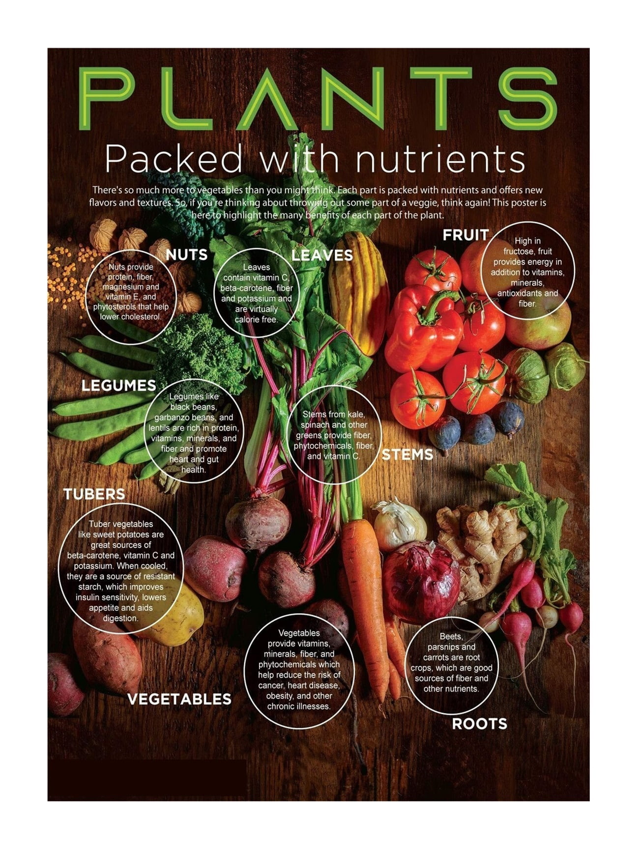 Plants: Many Beneficial Parts Poster Plant Based Diet Promotion ...