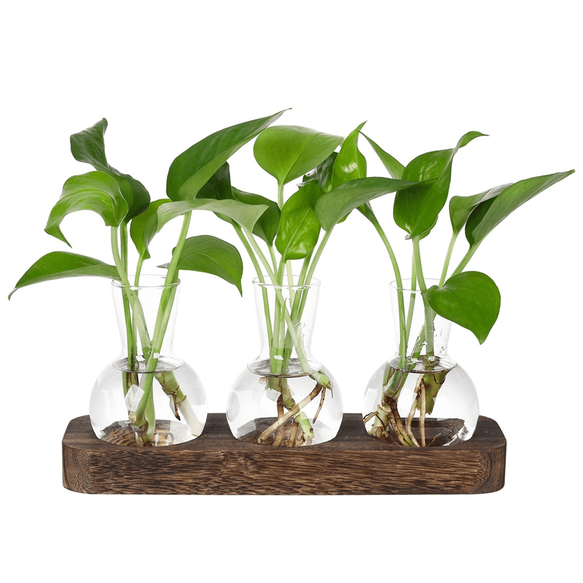 Plants Propagation Stations Glass Vase Station Retro Plant Terrarium ...