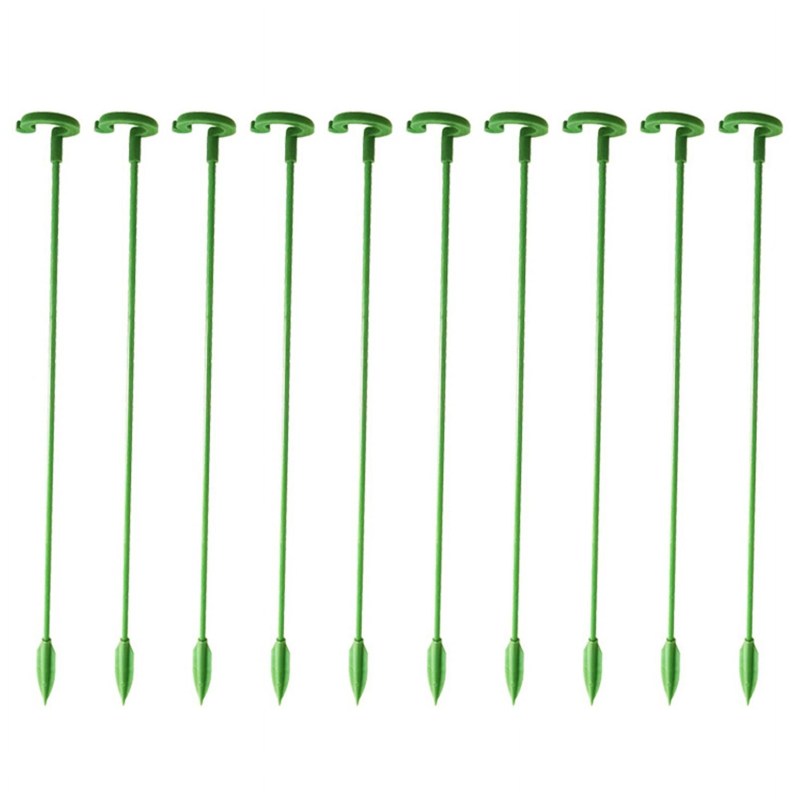 Plants Support Rods 10 Pcs Garden Bonsai Bracket Stake Single Stem ...