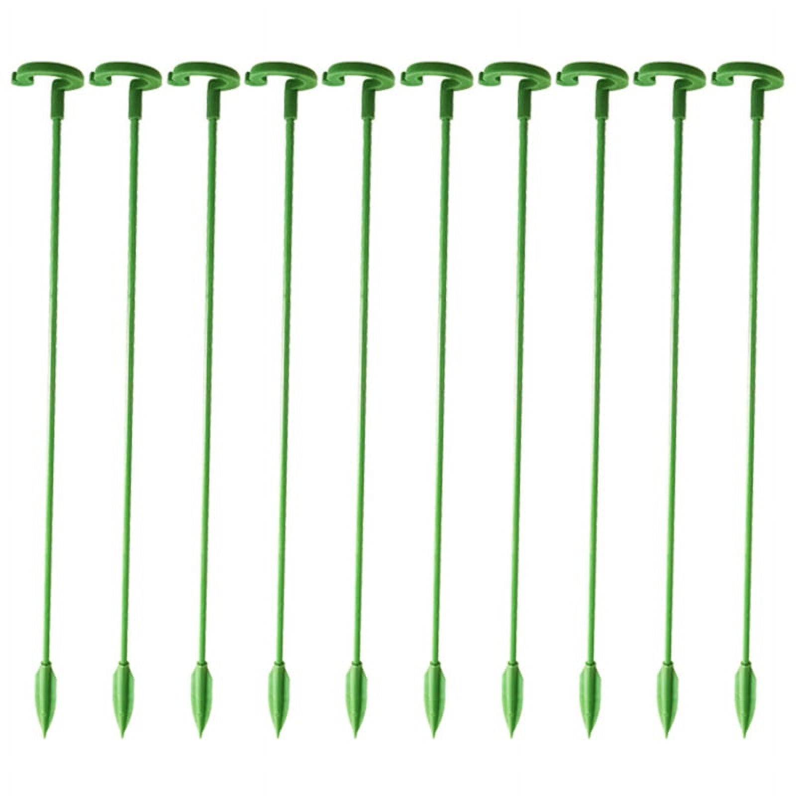 Plants Support Rods 10 Pcs Garden Bonsai Bracket Stake Single Stem ...