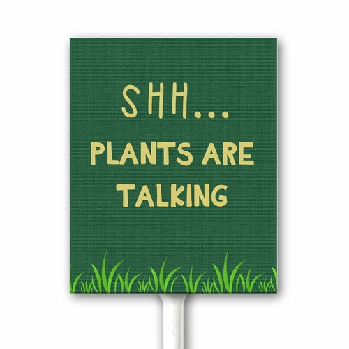 Plants Are Talking Garden Sign, Funny Garden Decor, Gardener Home Decor ...