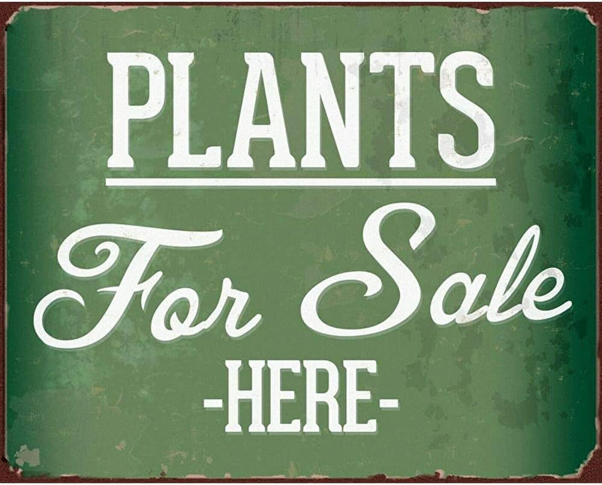 Plants for Sale Garden Centre Allotment Greenhouse Flowers Metal Tin ...