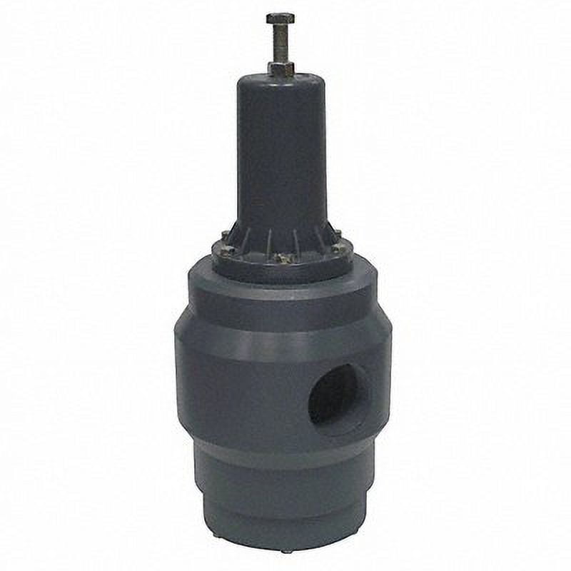 Plast-O-Matic Pressure Regulator,2 In,5 to 125 psi PRHM200V-PV ...