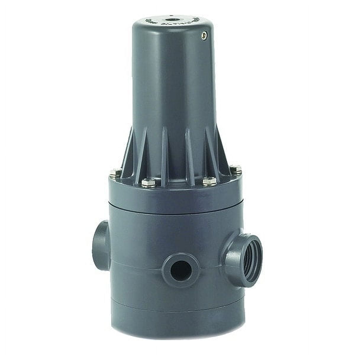 Plast-O-Matic Pressure Regulator,2 In,5 to 125 psi PRHM200V-PV ...