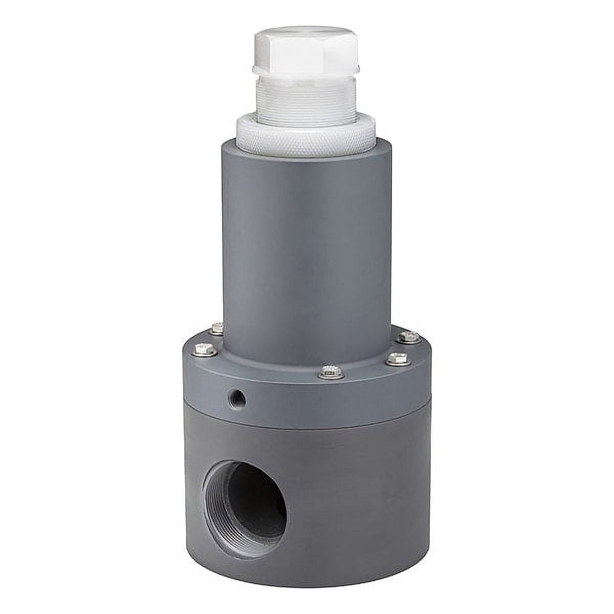 Plast-O-Matic Relief Valve,1 In,5 to 100 psi,PVC RVDTM100T-PV - Walmart.com