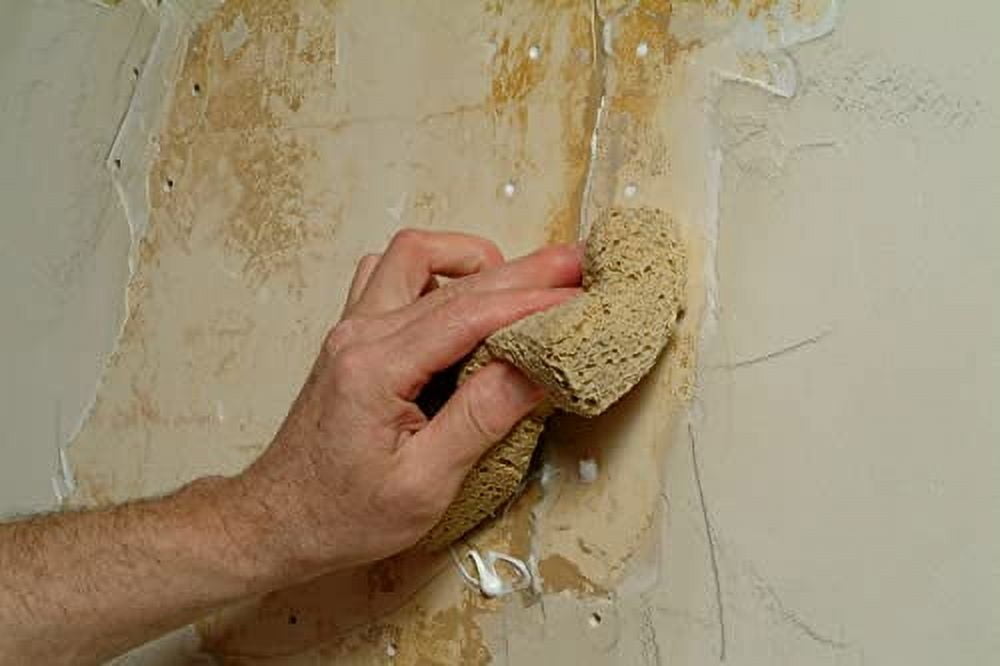 Plaster Magic® Clamps, Bag of 100 - Walmart.com