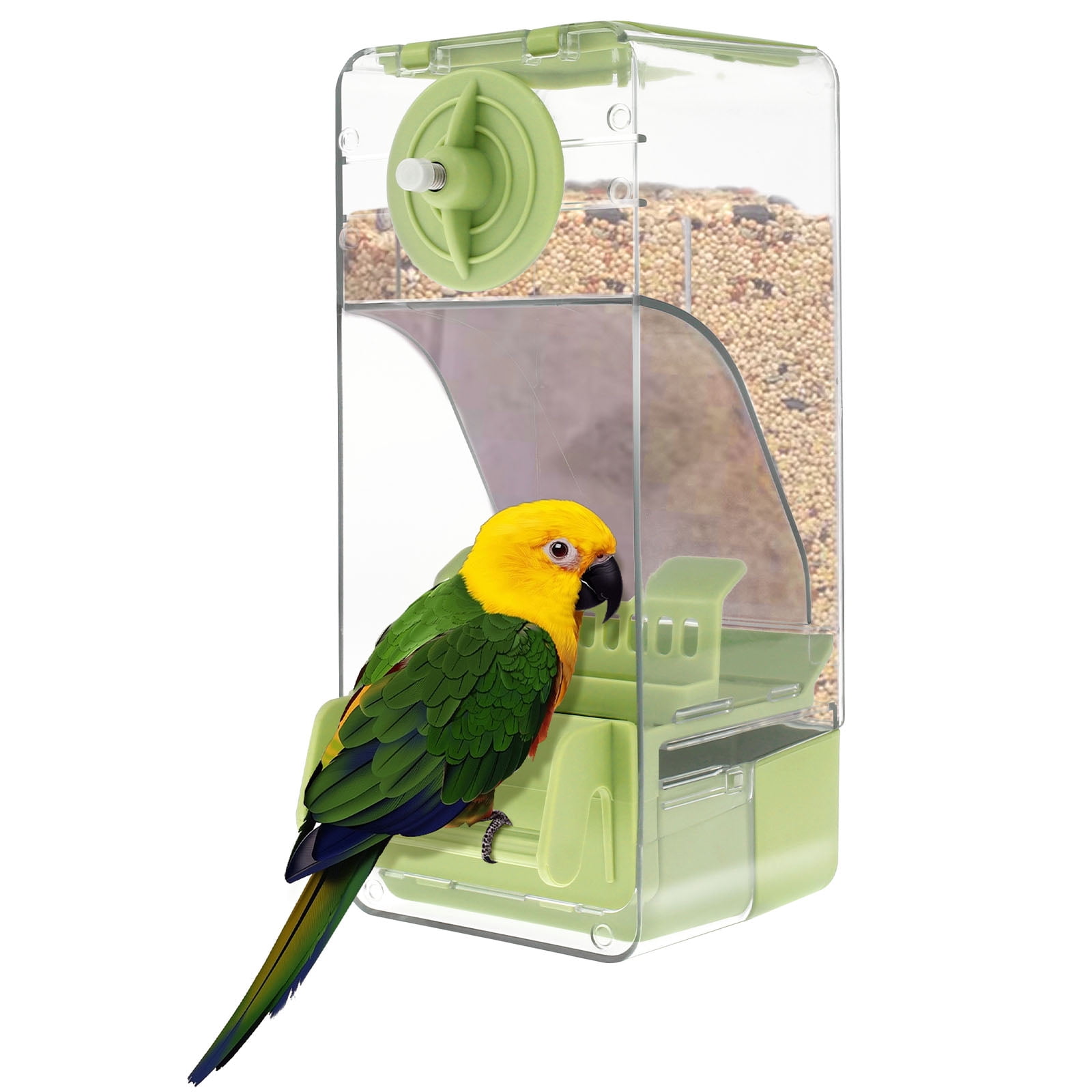 Plastic Automatic Bird Feeder With Perch Large Capacity No Mess Auto ...