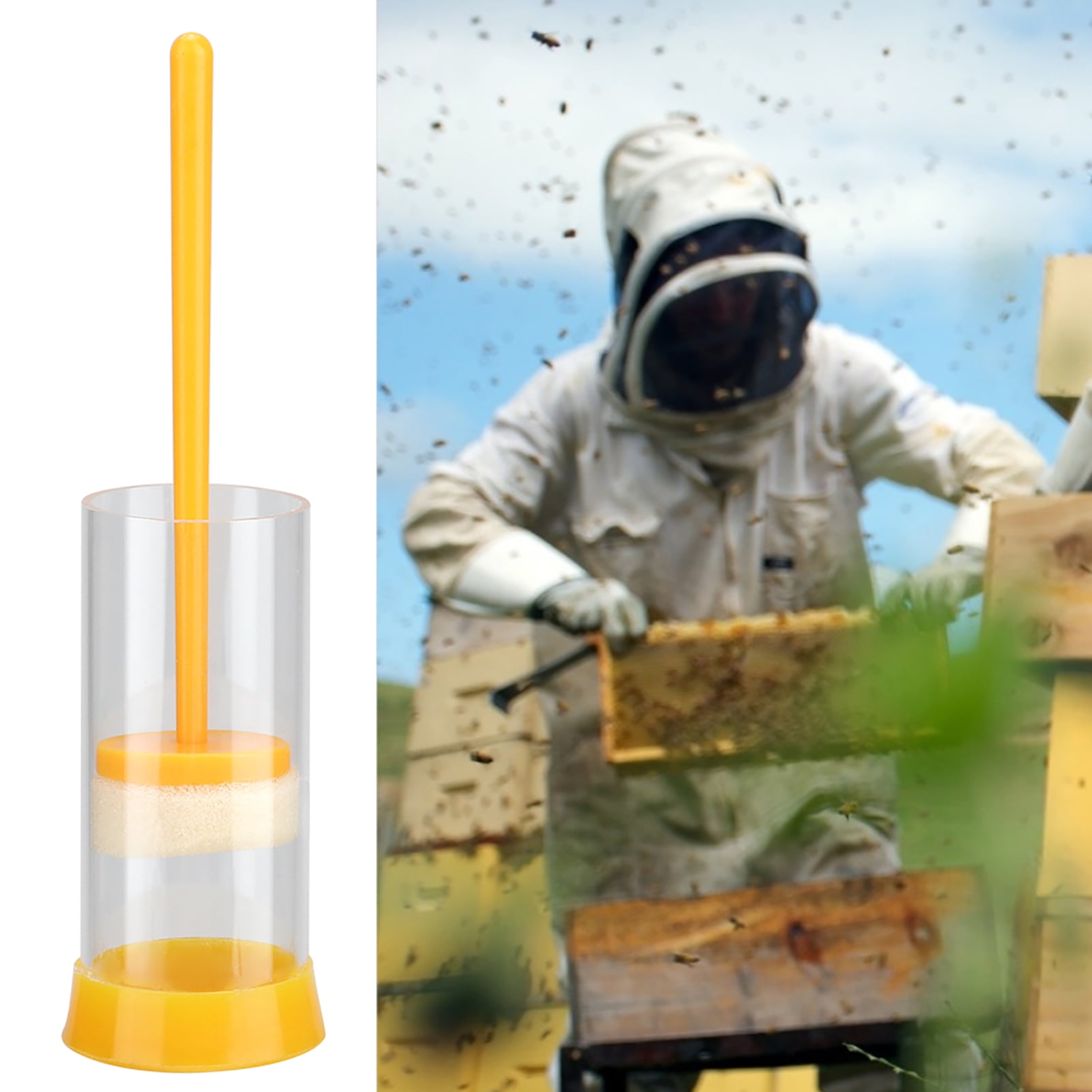 Plastic Beekeeping Queen Bee Labeled Bottle for Fertility Tools ...