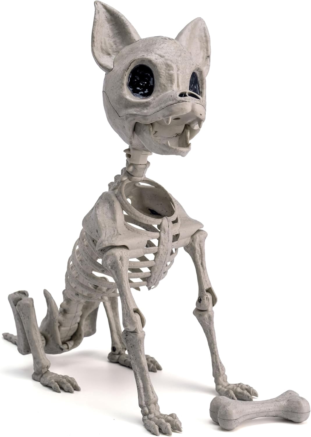 Plastic Chihuahua Dog Skeleton Halloween Decorations 12.6 inches ...