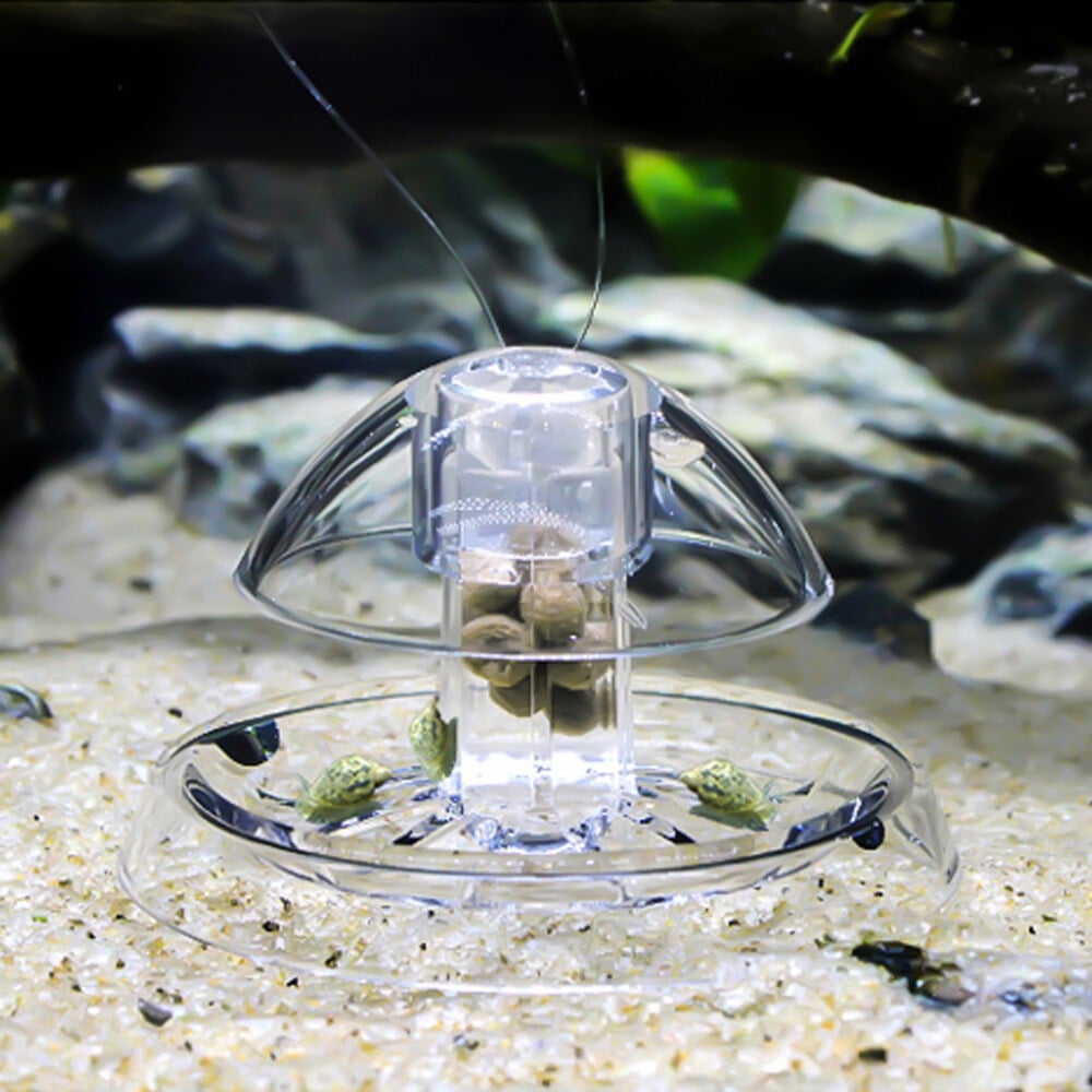 Plastic Clear Snail Trap Free Bait for Aquarium Fish Tank Plants ...