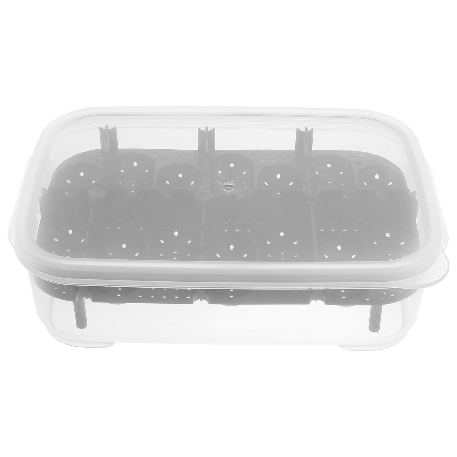 Plastic Containers Animal Reptile Hatchery Incubator Breeding Box ...