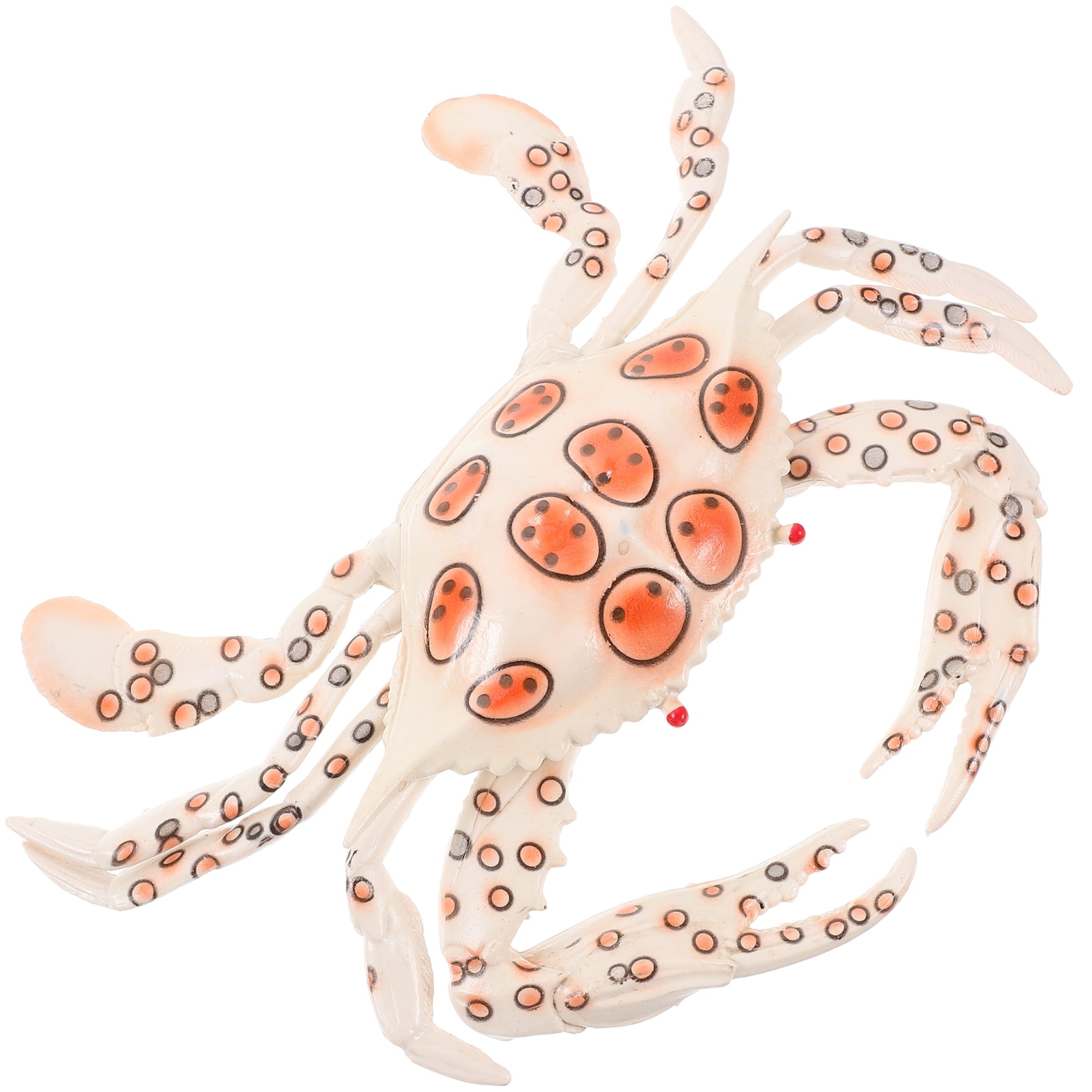 Plastic Crab Model Simulation Sea Animal Marine Animal Model Artificial ...