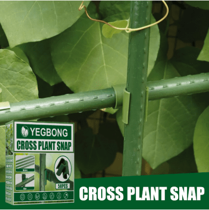 Plastic Cross Buckle Plant-Specific Iron Ring Climbing Frame Flower ...