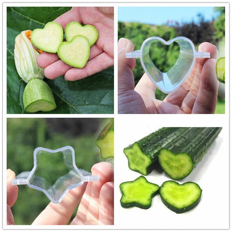Plastic Cucumber Growth Forming Mold Heart/Star Fruit Shaping Growing ...