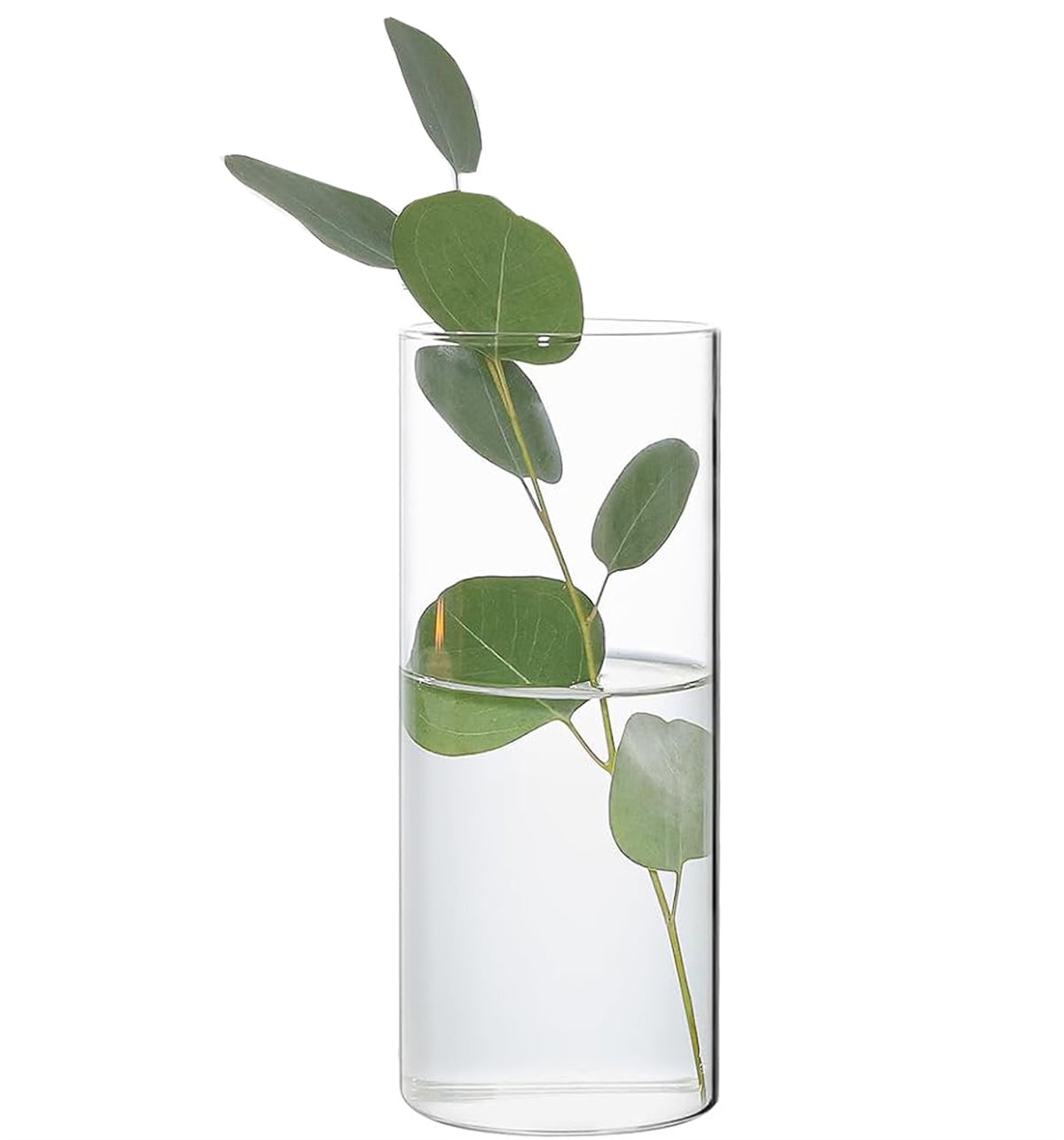Plastic Cylinder Vases,Bexikou Tall Clear Flower Vases for Centerpieces ...