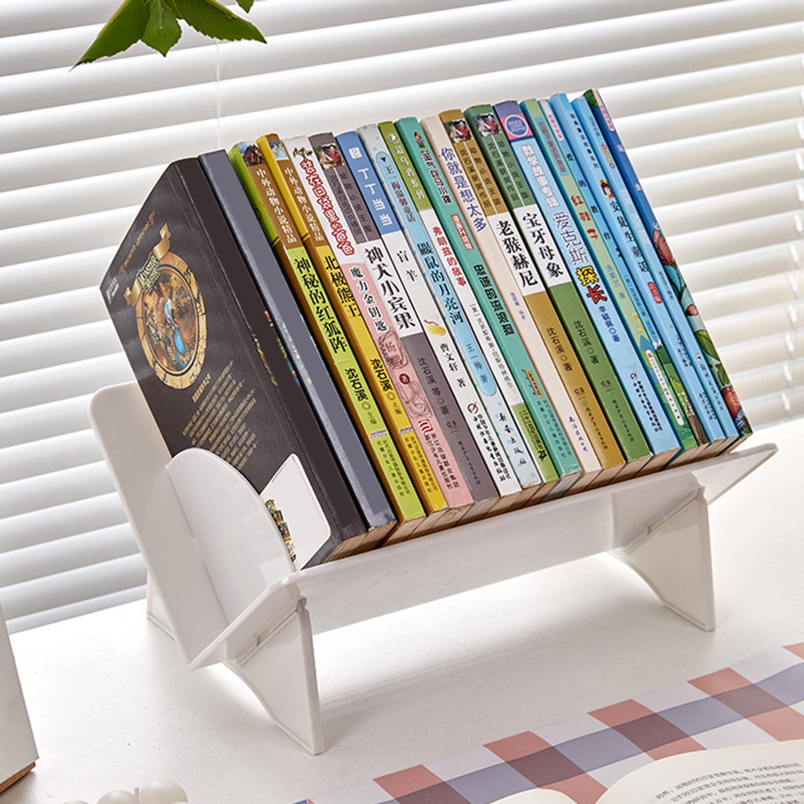 Plastic DVD Display Stand Book Organizer Albums Storage Rack Large ...