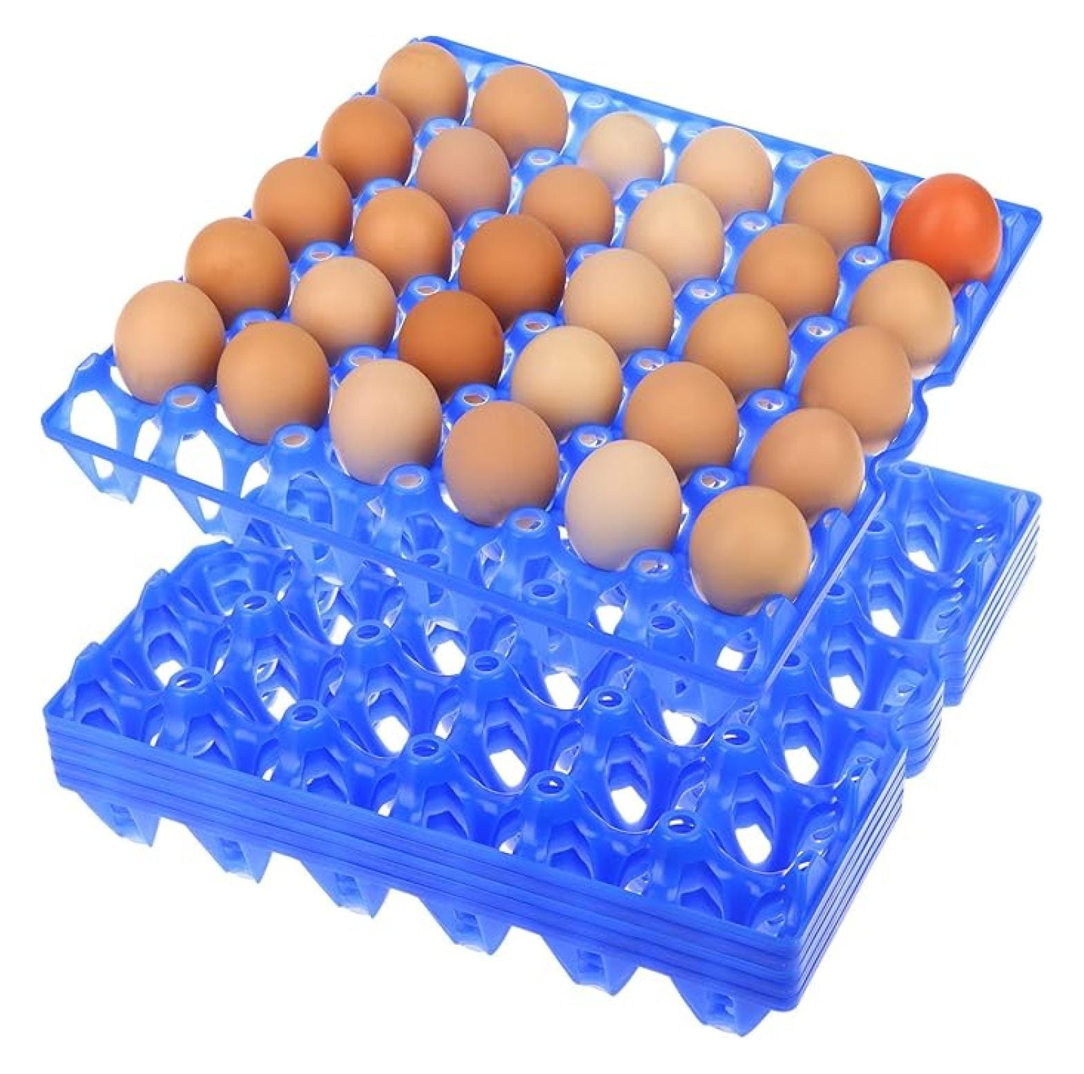 Plastic Egg Trays 6 Pack - 30 Egg Capacity - Stackable Egg Cartons for ...