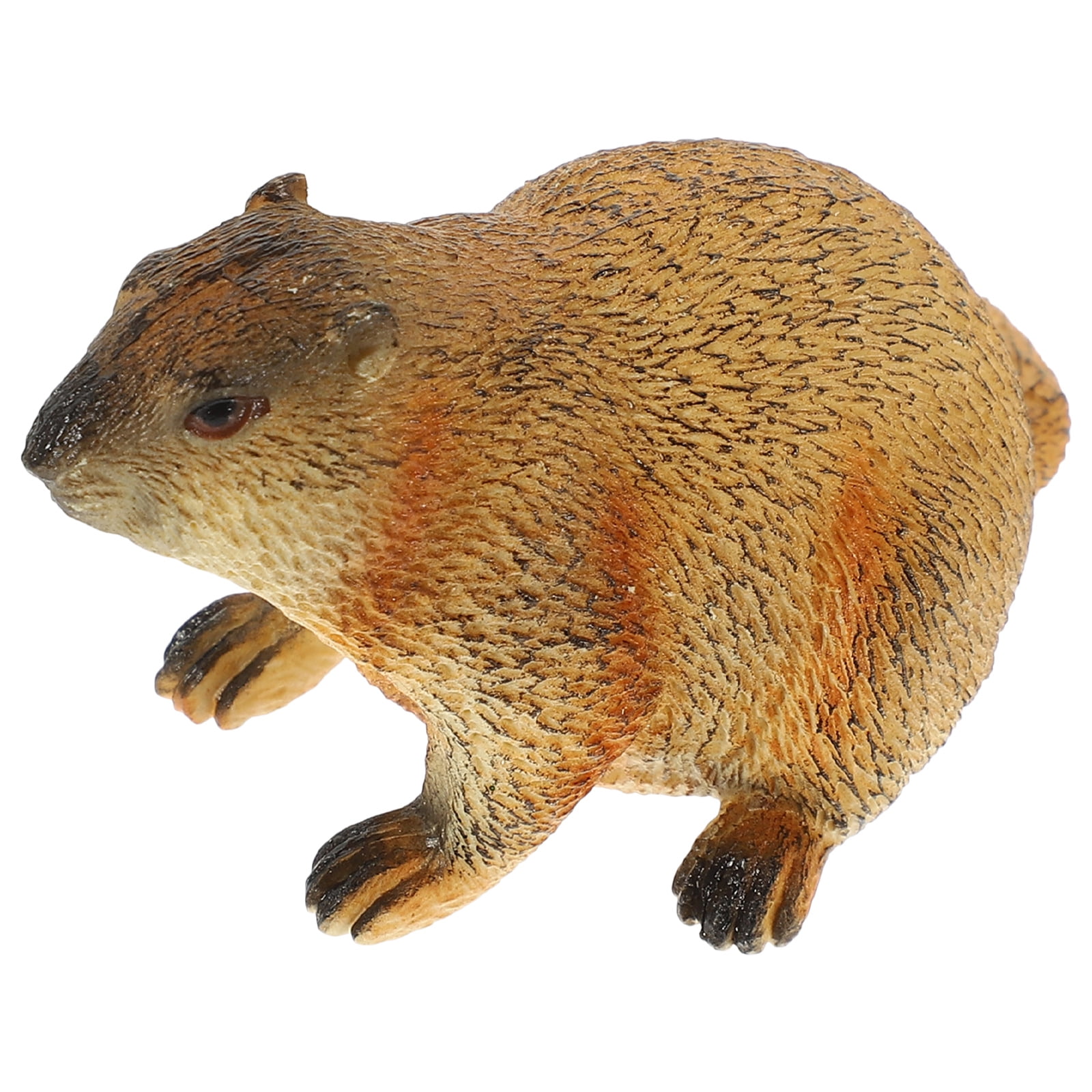 Plastic Fake Groundhog Simulation Groundhog Figure Simulation Wildlife ...