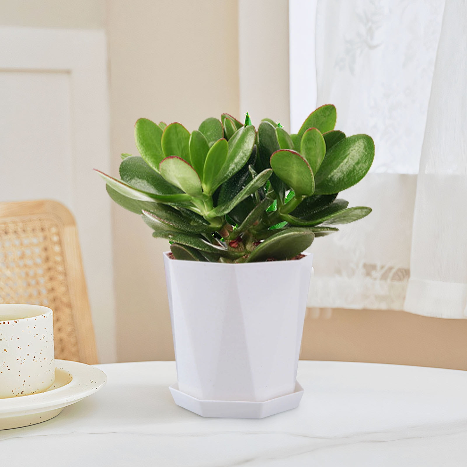 Plastic Flower Pot Set 5 Pack | Thickened Resin Planters with Base ...