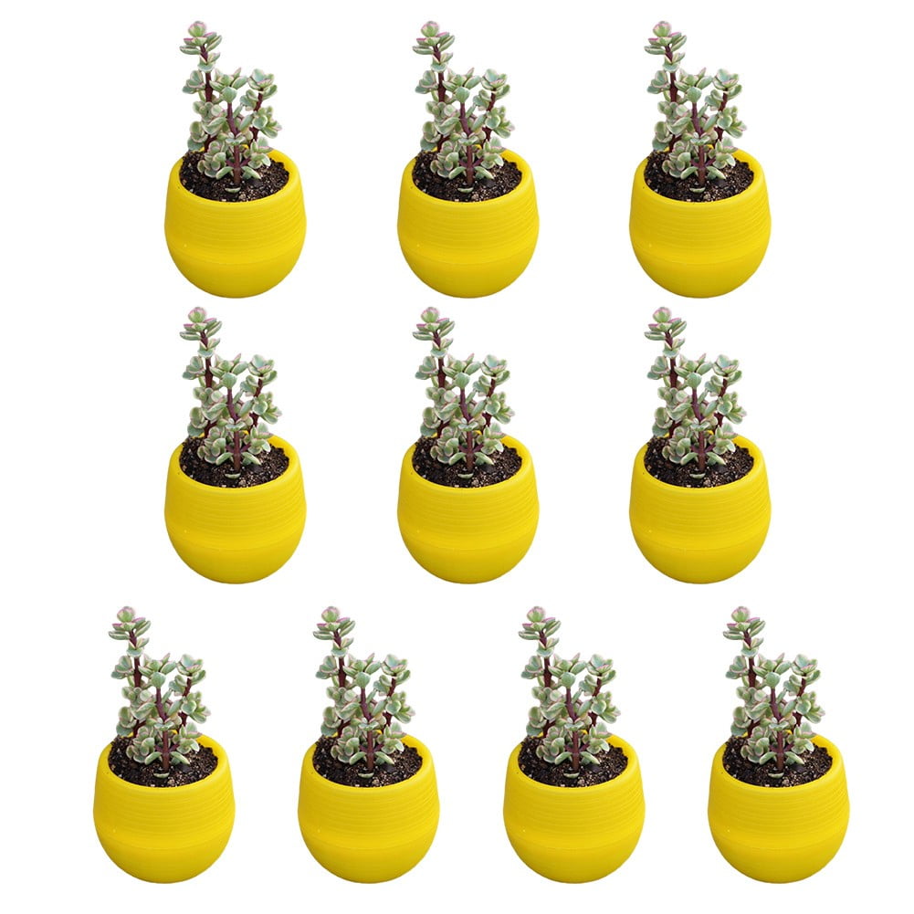 Plastic Flower Pot Succulent Plant Flowerpot For Home Garden Office ...