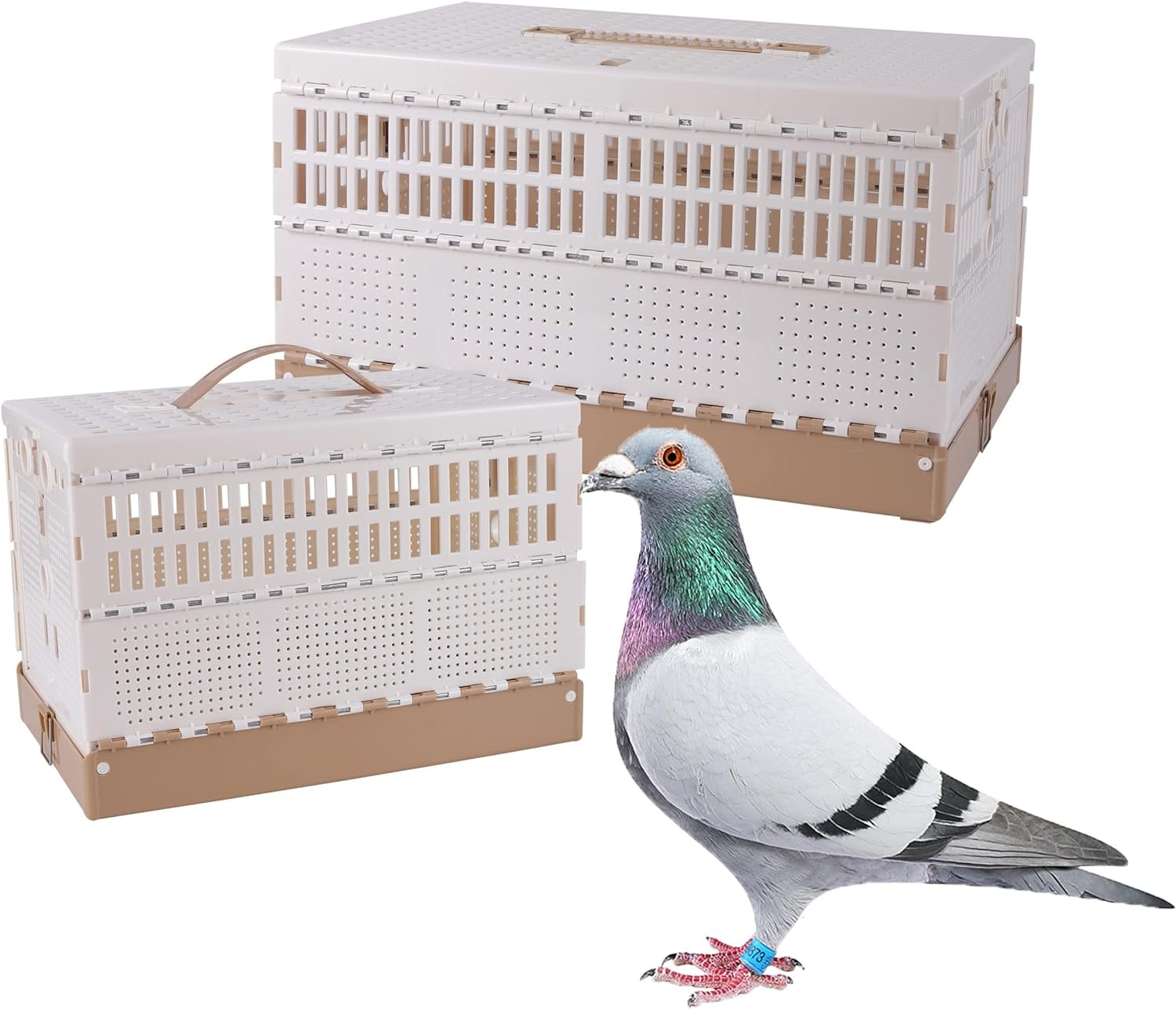 Plastic Foldable Pigeon Cage with Handle, Portable Bird Travel Carrier Cage Pigeon Cage Pairing ...
