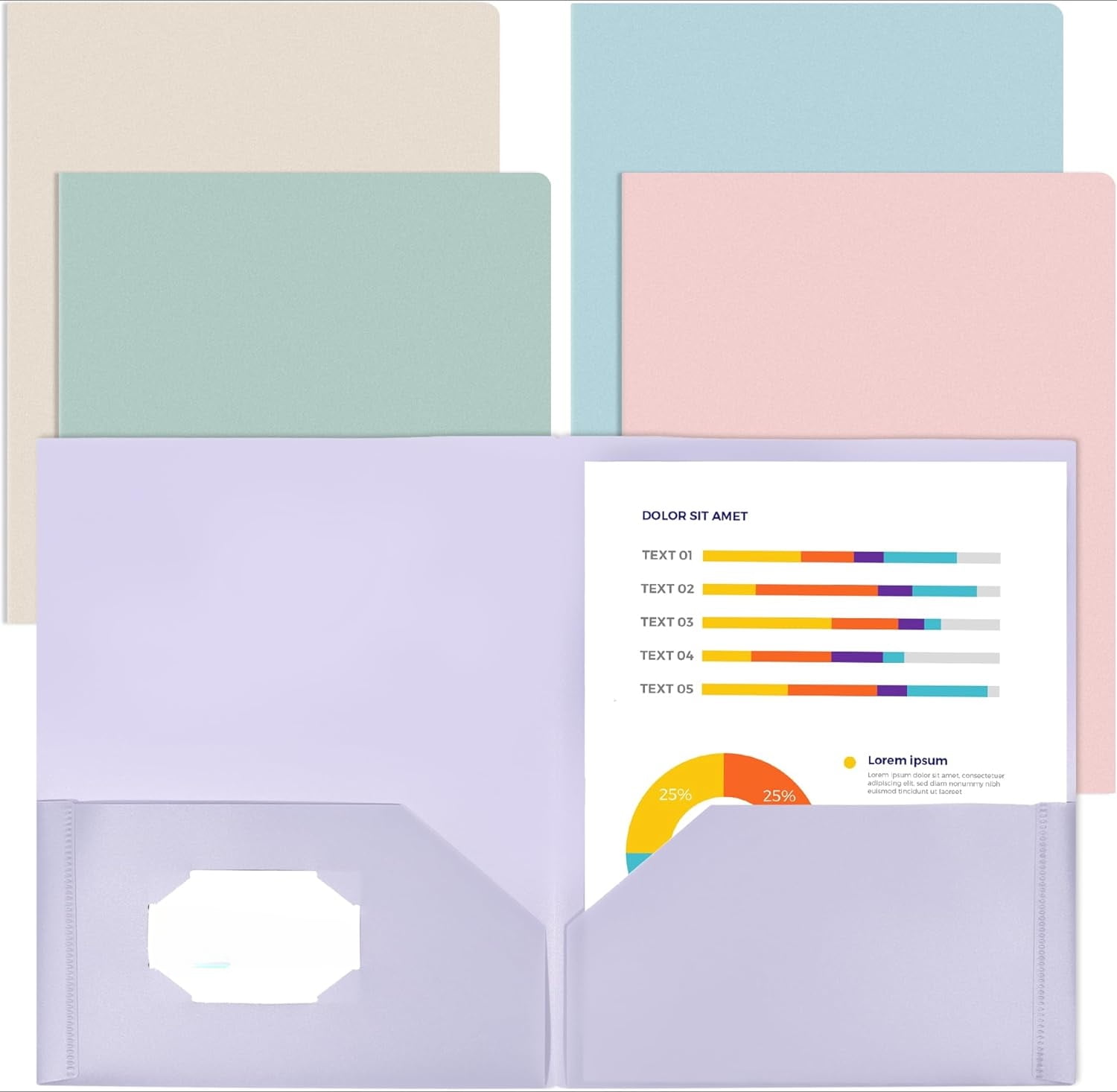 Plastic Folders with Pockets, Pack of 5, Muted Pastel Colors, Heavy ...