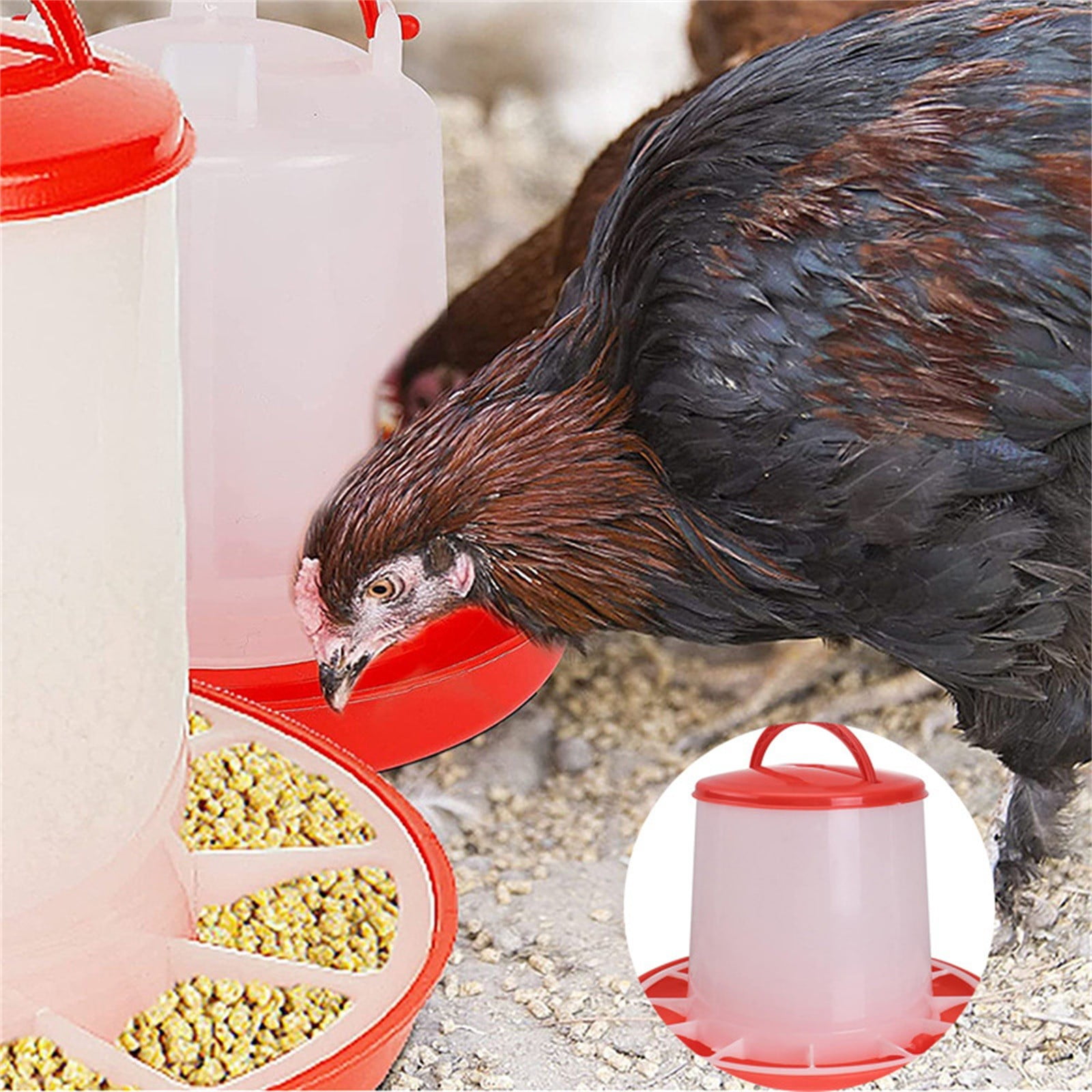 Plastic Food Feeder Chicken Chick Hen Poultry Lid Handle, Chicken ...