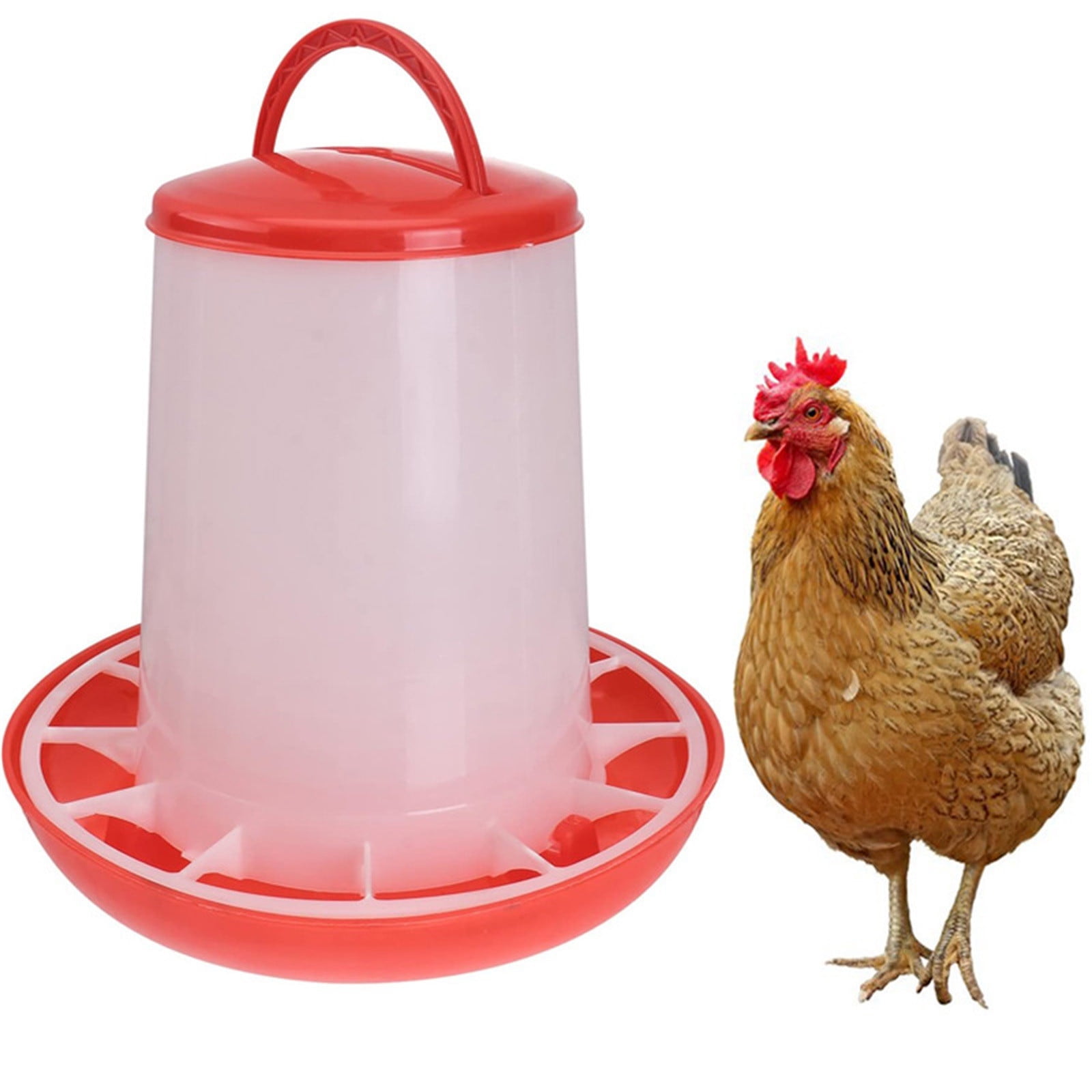 Plastic Food Feeder Chicken Chick Hen Poultry Lid Handle, Chicken ...