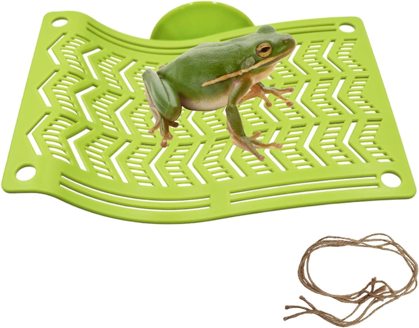 Plastic Frog Hammock with Suction Cup, Frog Habitat Platform, Reptile ...