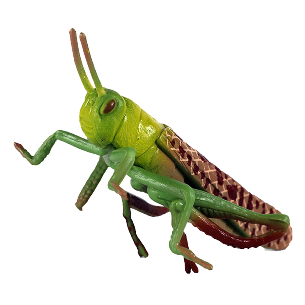 Plastic Grasshoppers Toys, Plastic Grasshoppers Insect Figures Toys ...