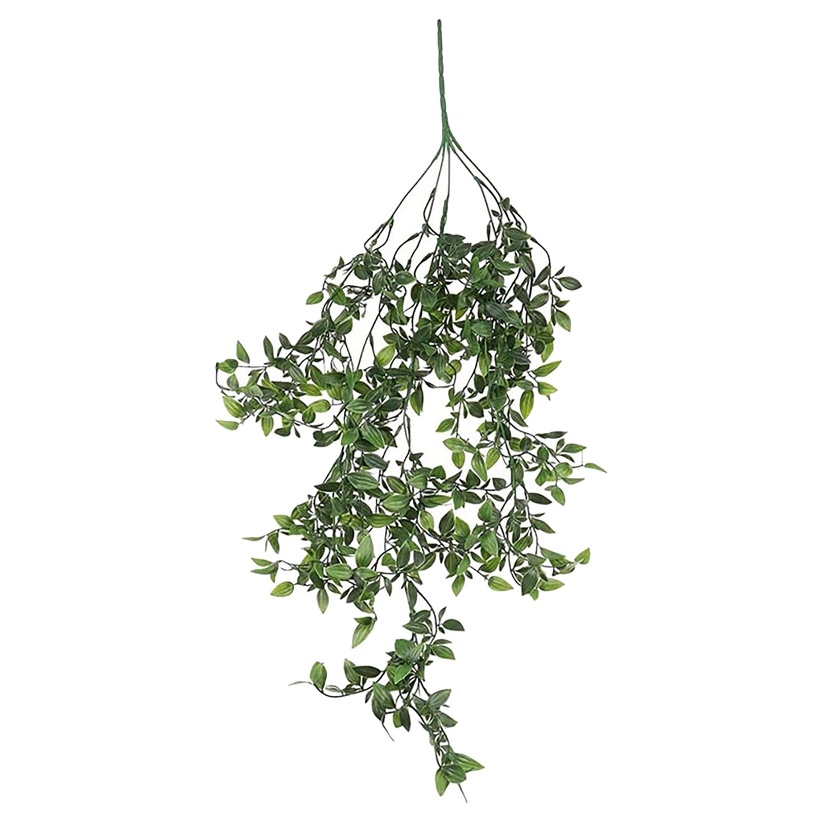 Hanging - 80cm Length, Low Maintenance, Vibrant - Indoor/Outdoor Decor ...