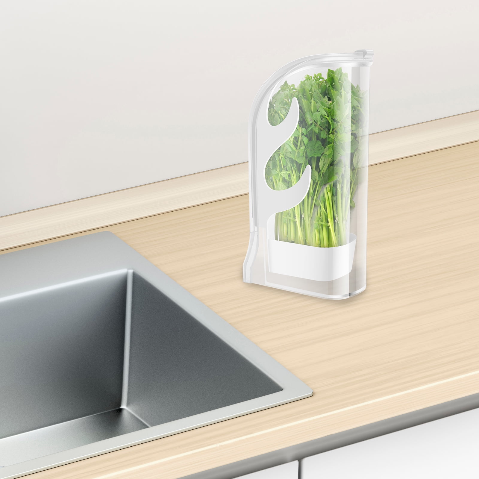 Plastic Herb Keeper for Refrigerator Side Opening Cilantro Keeper ...