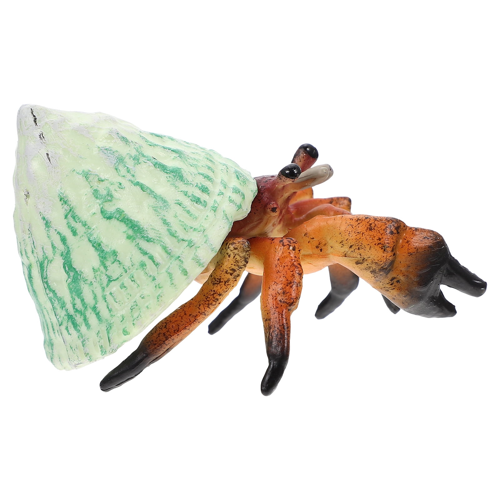 Plastic Hermit Crab Model Plaything Realistic Marina Animal Model Model ...