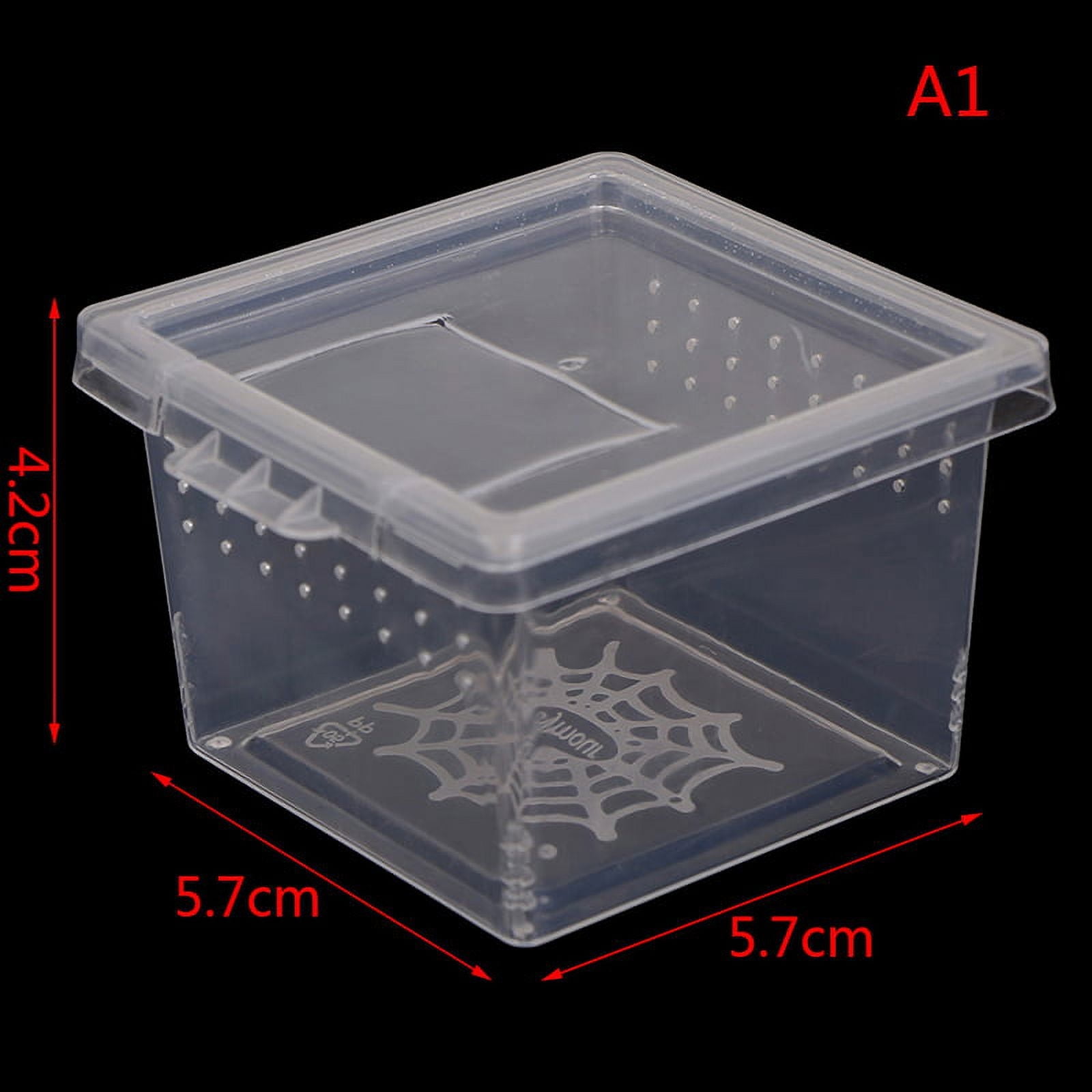 Plastic Insect Spider Habitat Feeding Box Case Container Tank Transport ...