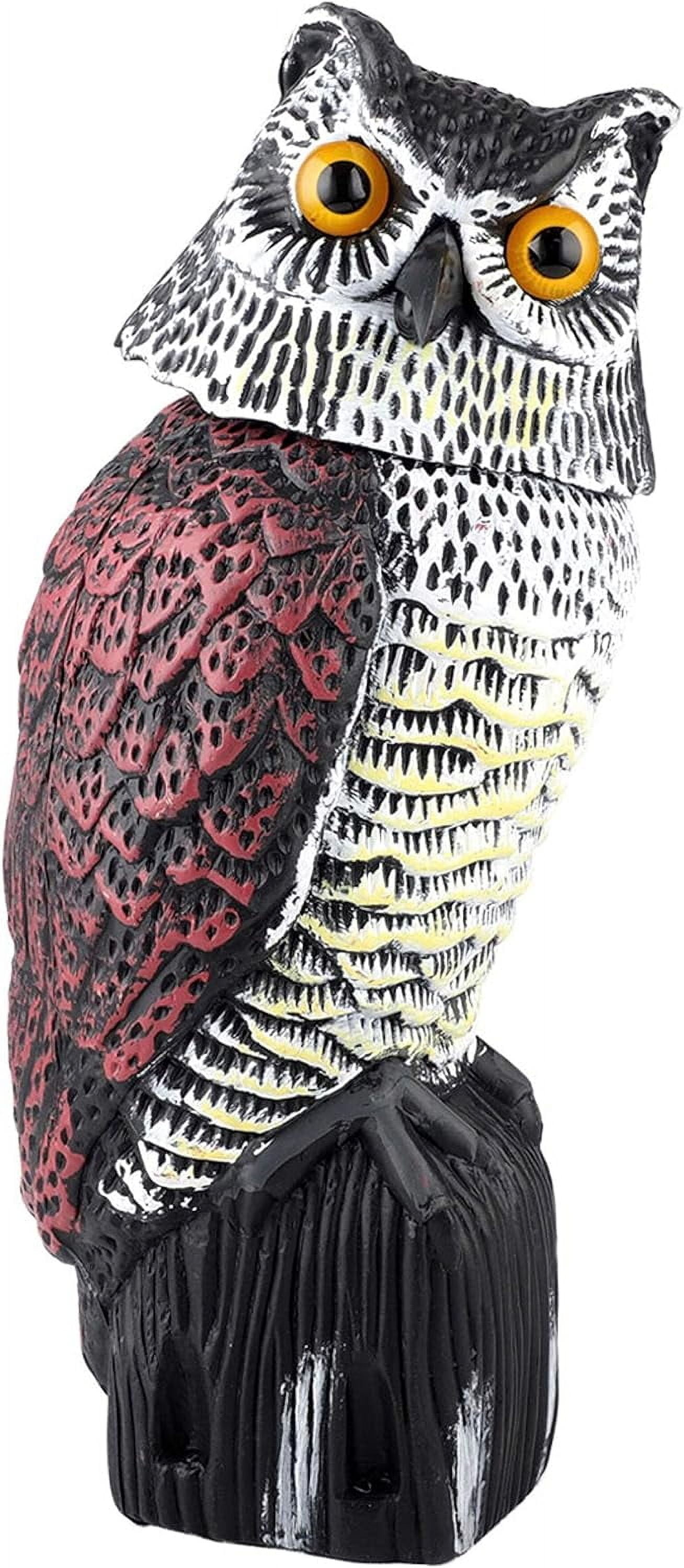 Plastic Owl Statue Decoys for Bird Control - Owl Scarecrow with ...