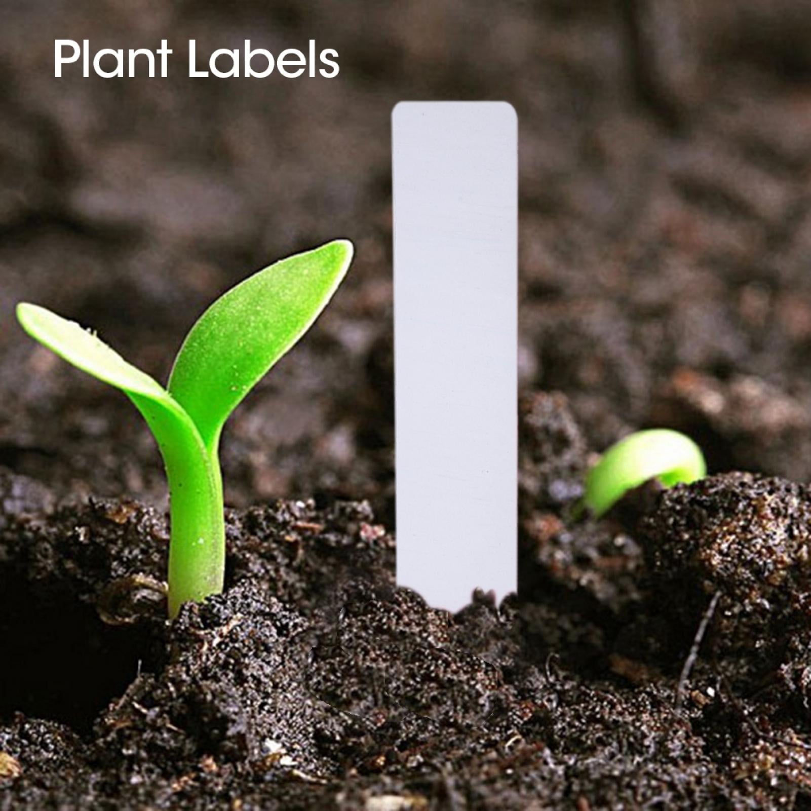 Plastic Plant Labels,100 Pcs Plastic Plant Labels Pot Marker Nursery ...