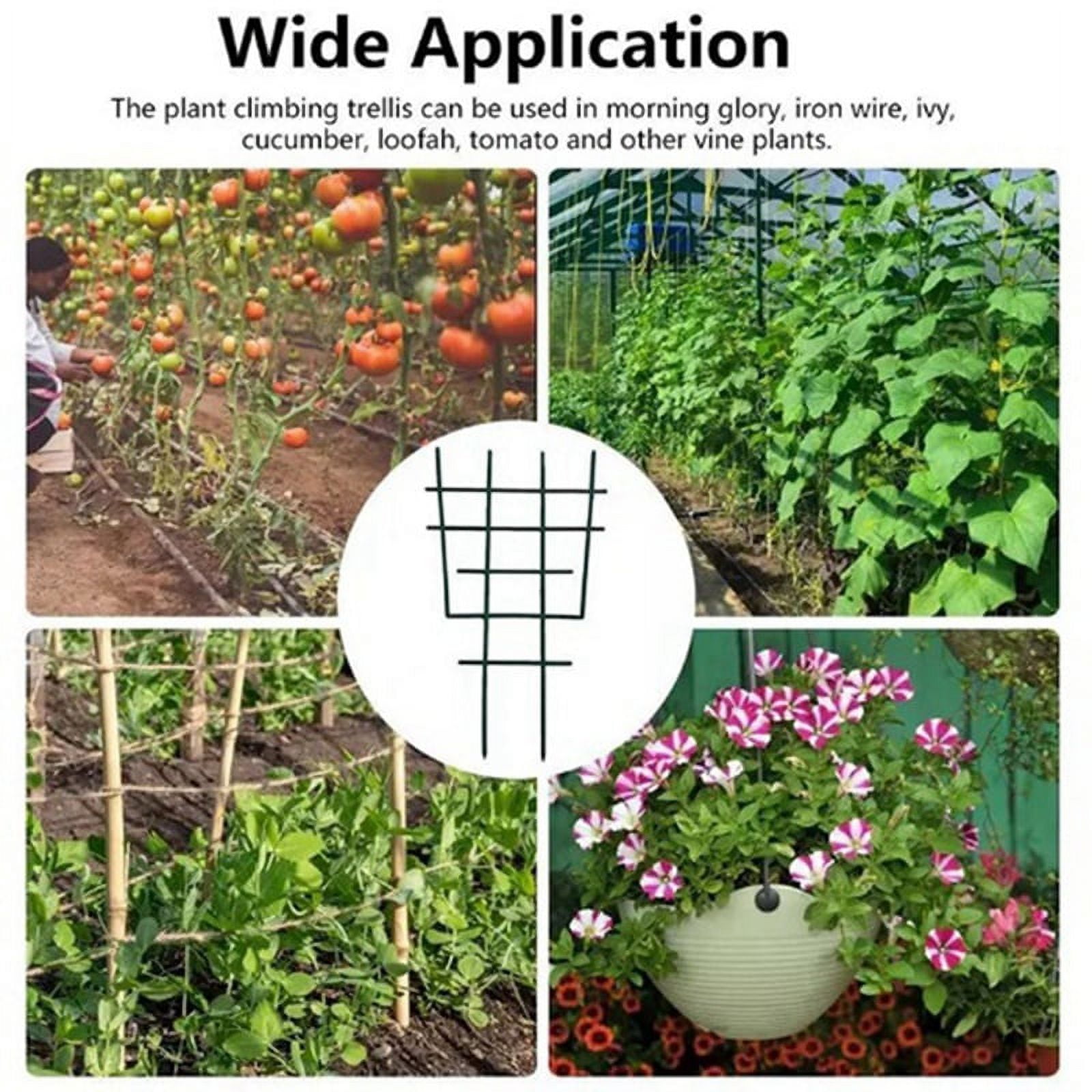 Plastic Plant Support for Garden Vines Fastener Frame Pot Bracket ...