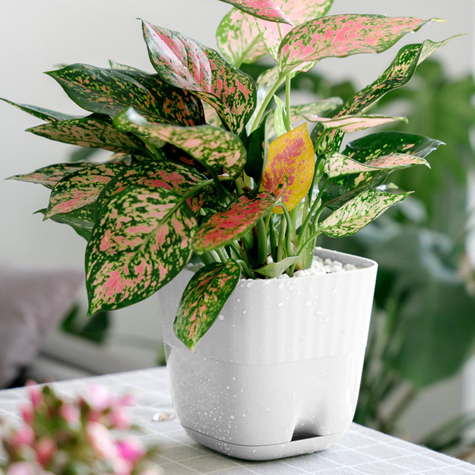 Planters with Drainage Holes and Tray, Modern Decorative Flower Pot ...