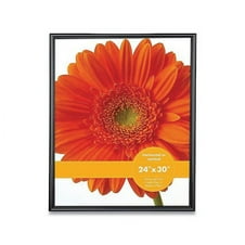 24x32 Poster Frame