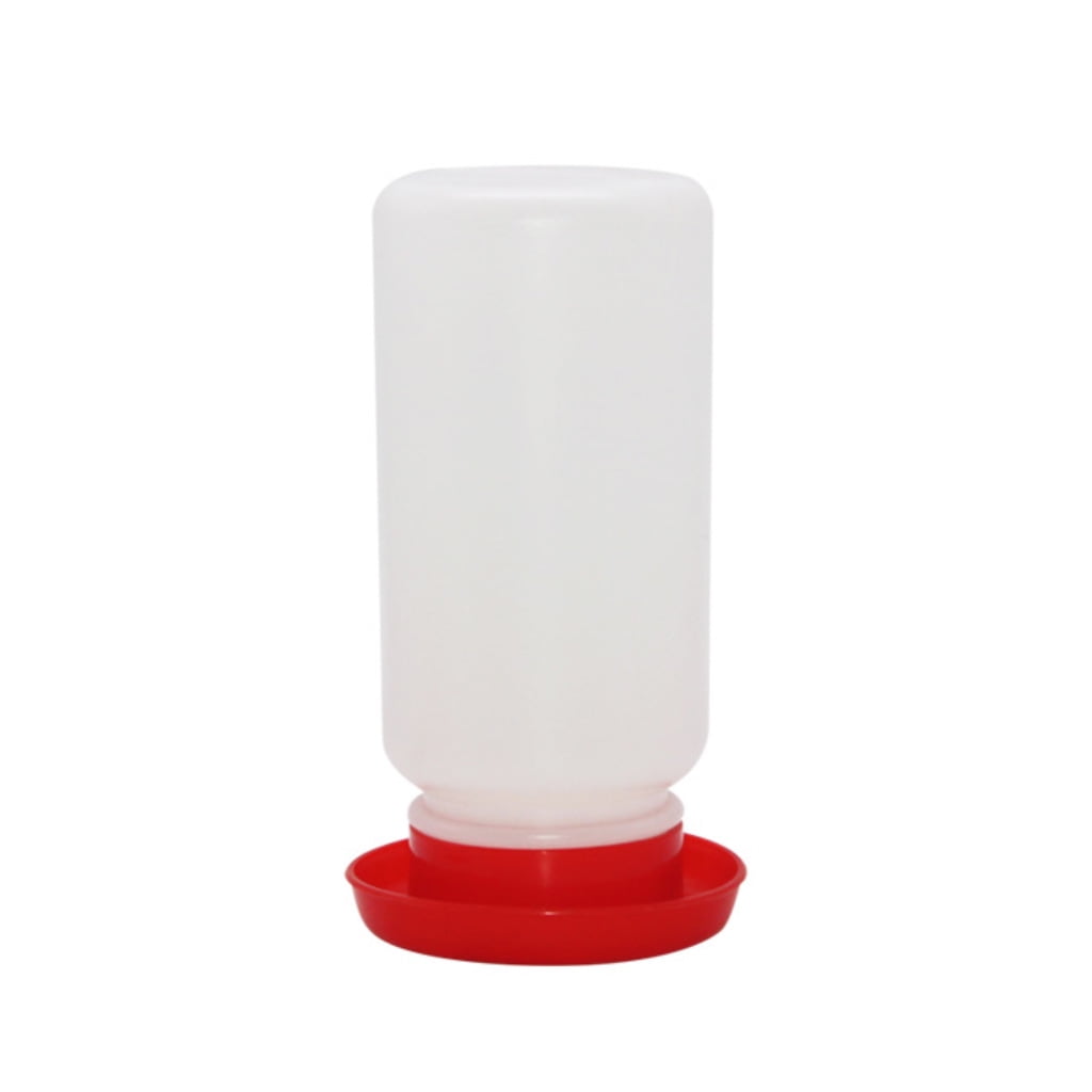 Plastic Poultry Fount Chicken Water Container Jar High-Quality Water ...
