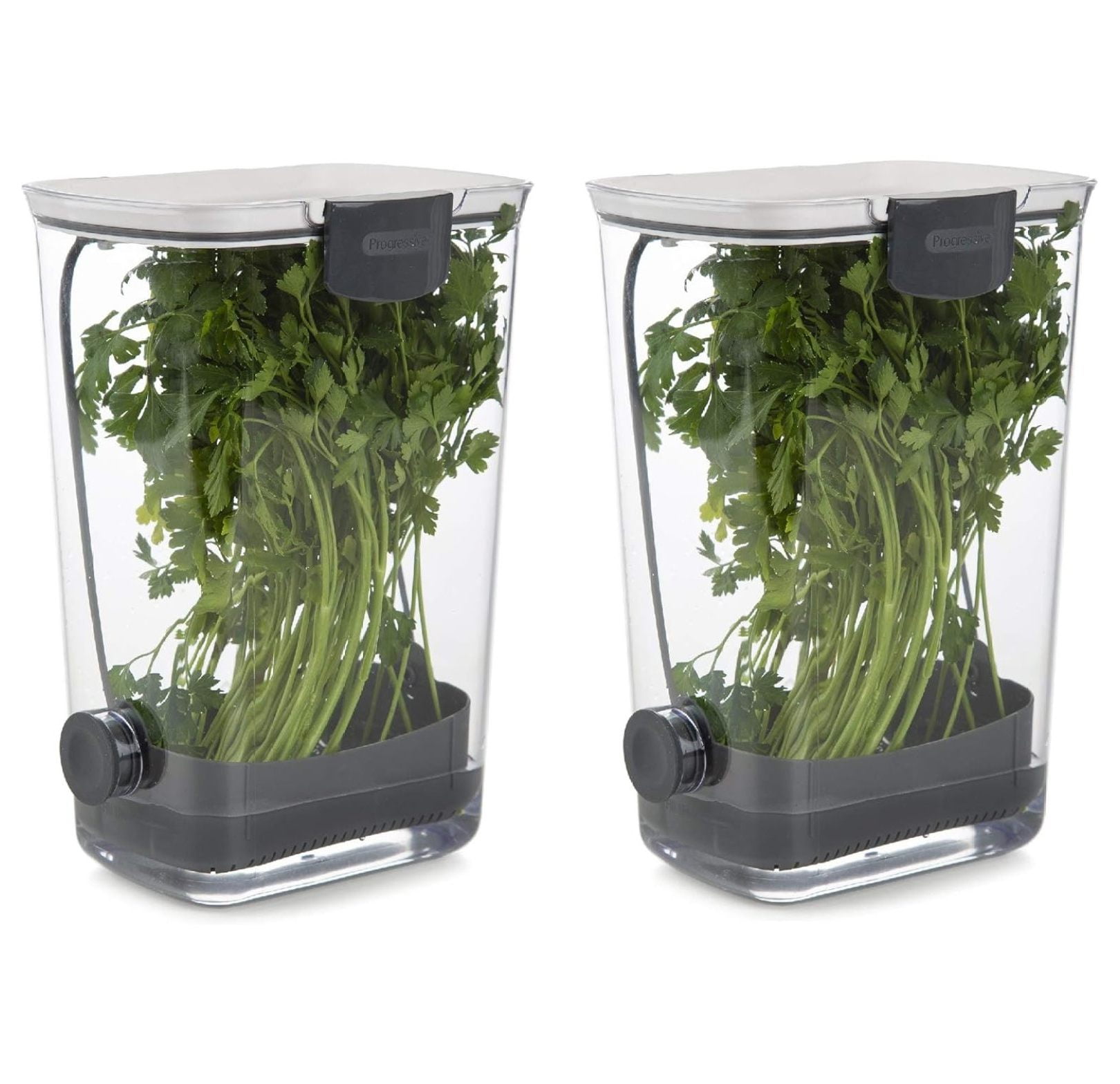 Plastic ProKeeper Food Storage Containers, 2 Pack, White - Airtight ...