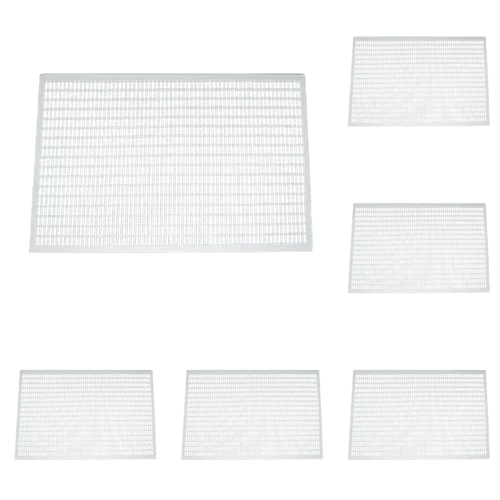 Plastic Queen Bee Excluder for 10-Frame Hives - Beekeeping Essential ...