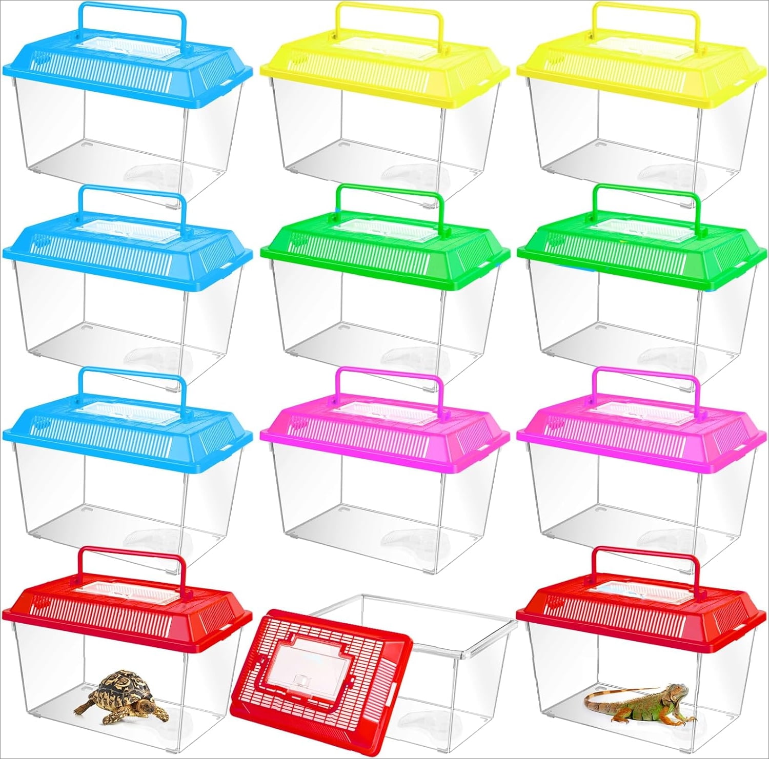 Plastic Reptile Terrariums Carrier Cage Tarantula Enclosure Snake ...