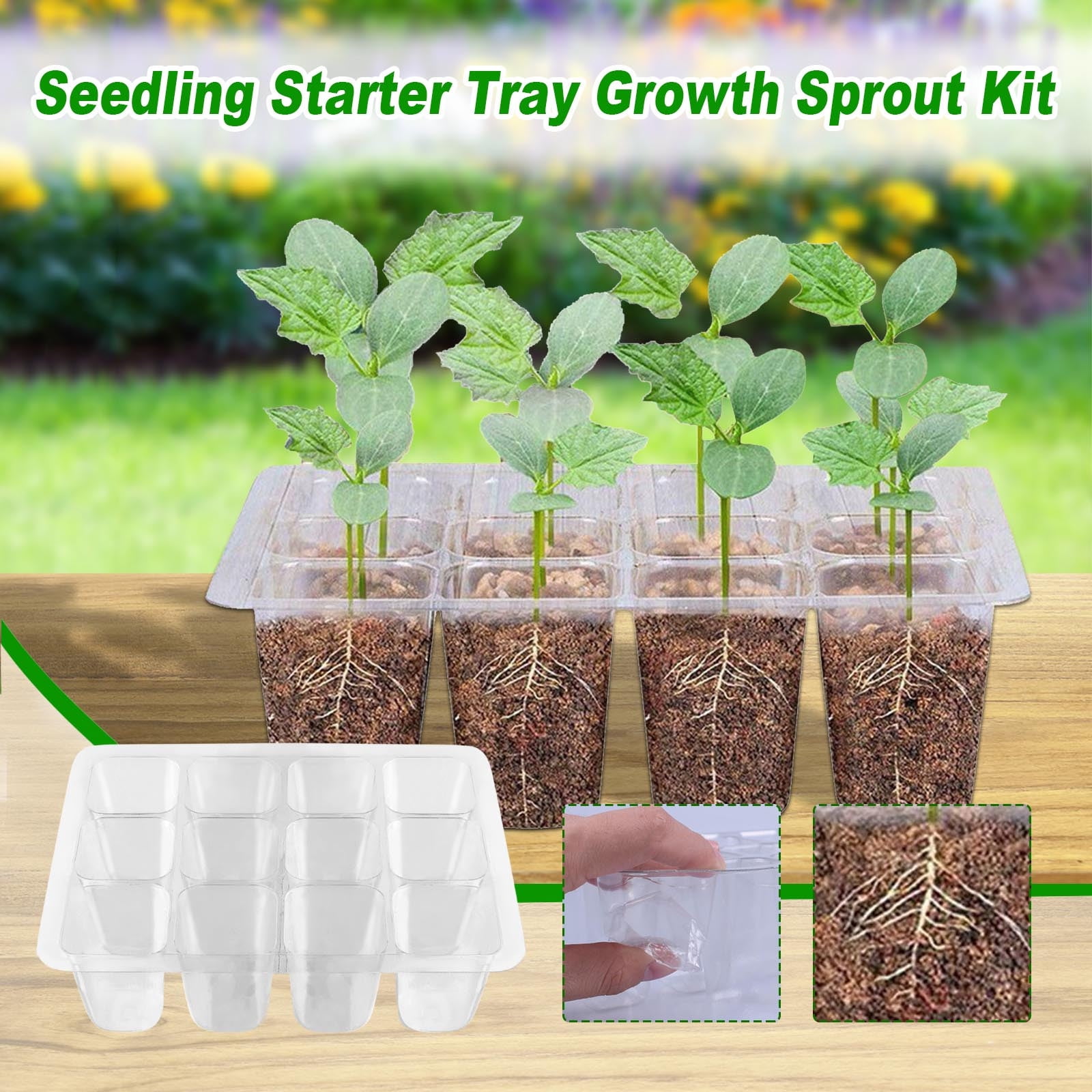 Plastic Seed Starter Tray | Transparent Propagation Box | 18x14x5cm ...