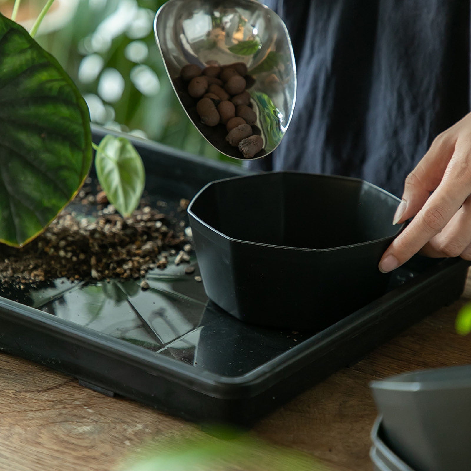 Plastic Shallow Plant Pot, Flower Cactus herb Big Planter, Octagon Bowl ...