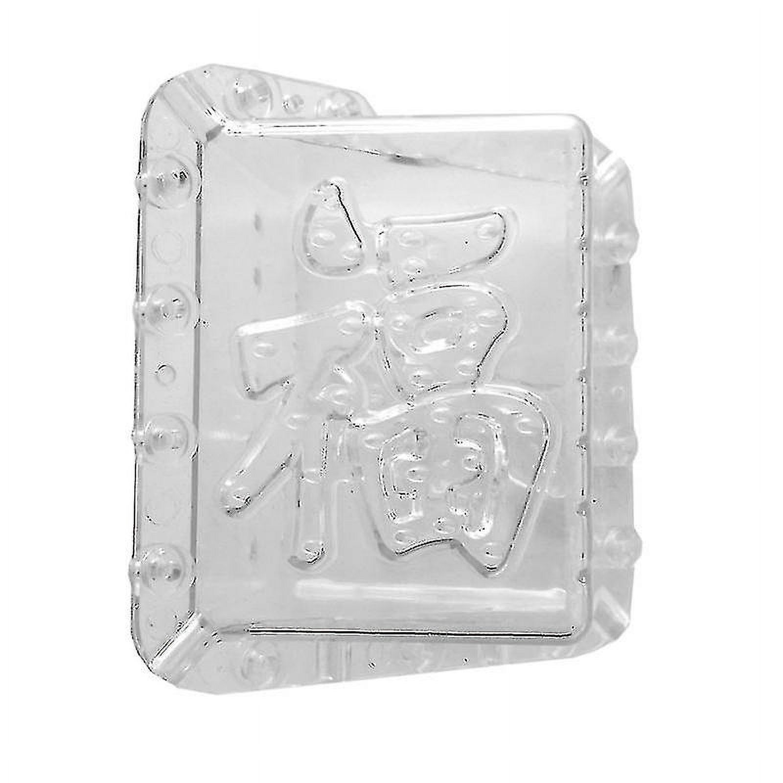 Plastic Square Fruit Growing Mold Garden Fruit Mould Tool Transparent ...