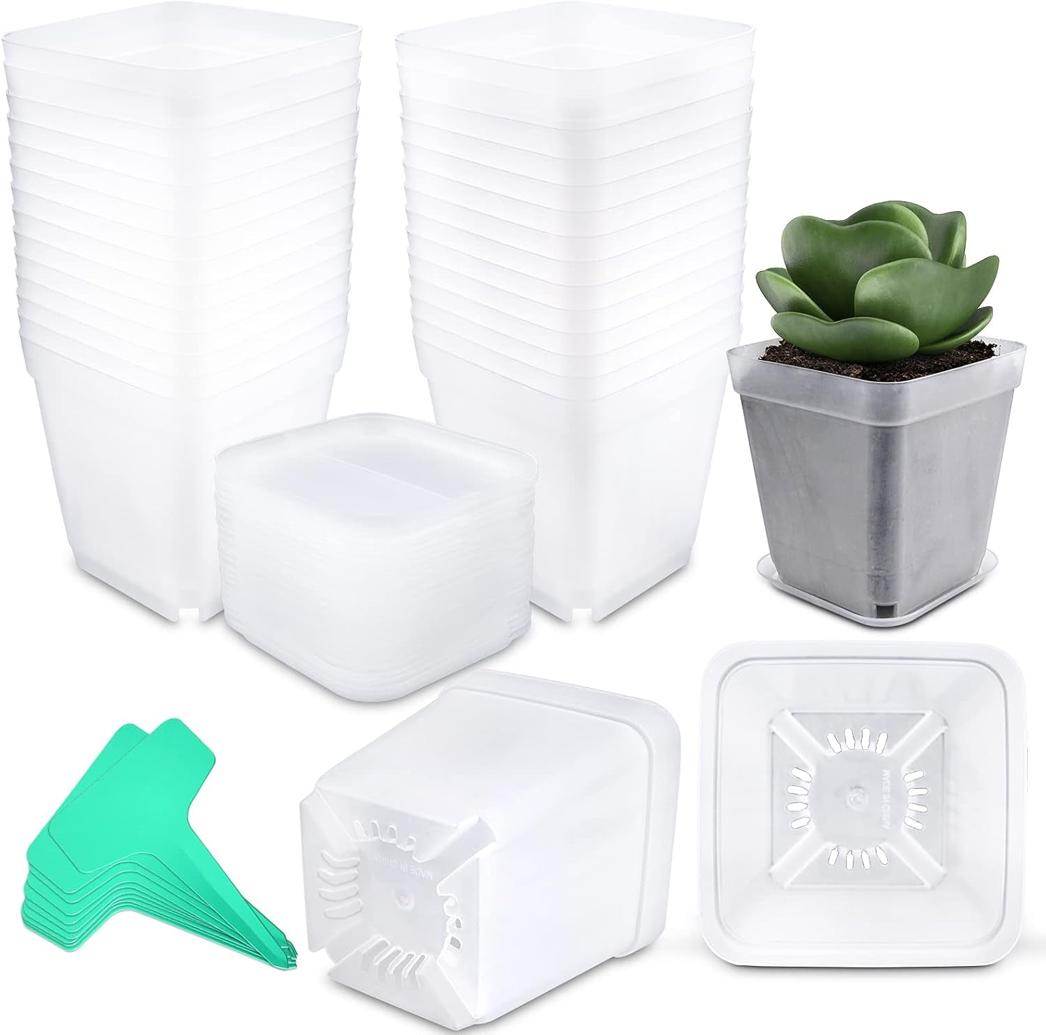 Plastic Square Seedling Pots Set 28 Pack – 3-Inch Frosted Starter ...