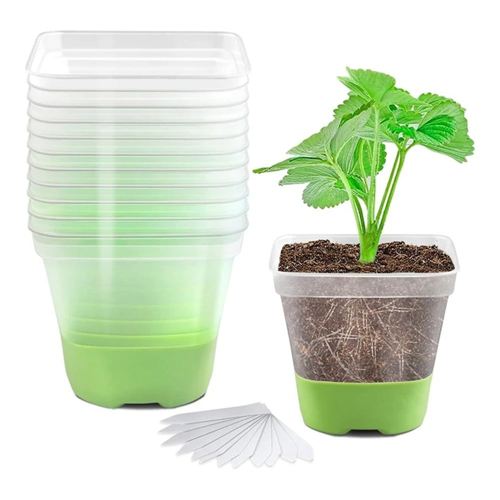 Plastic Square Transparent Planting Pot With Silicone Bottom -yellow12 ...