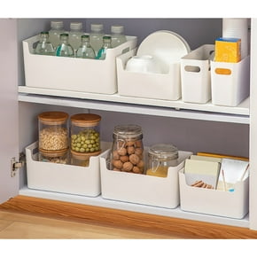Plastic Cube Storage Bins